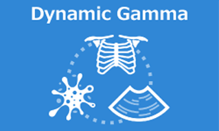 DYNAMIC GAMMA – PIXEL by PIXEL PERFECTION | Technologies | Healthcare ...