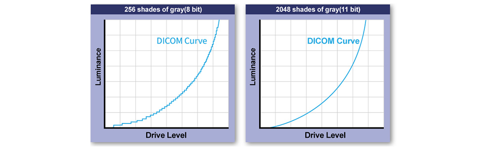 Built-in LUT (Look-up Table) to reproduce beautiful grayscale and JVC's ...