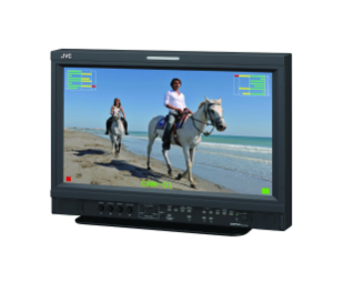 DT-E17L4 | Production Monitors | Professional video | Professional ...
